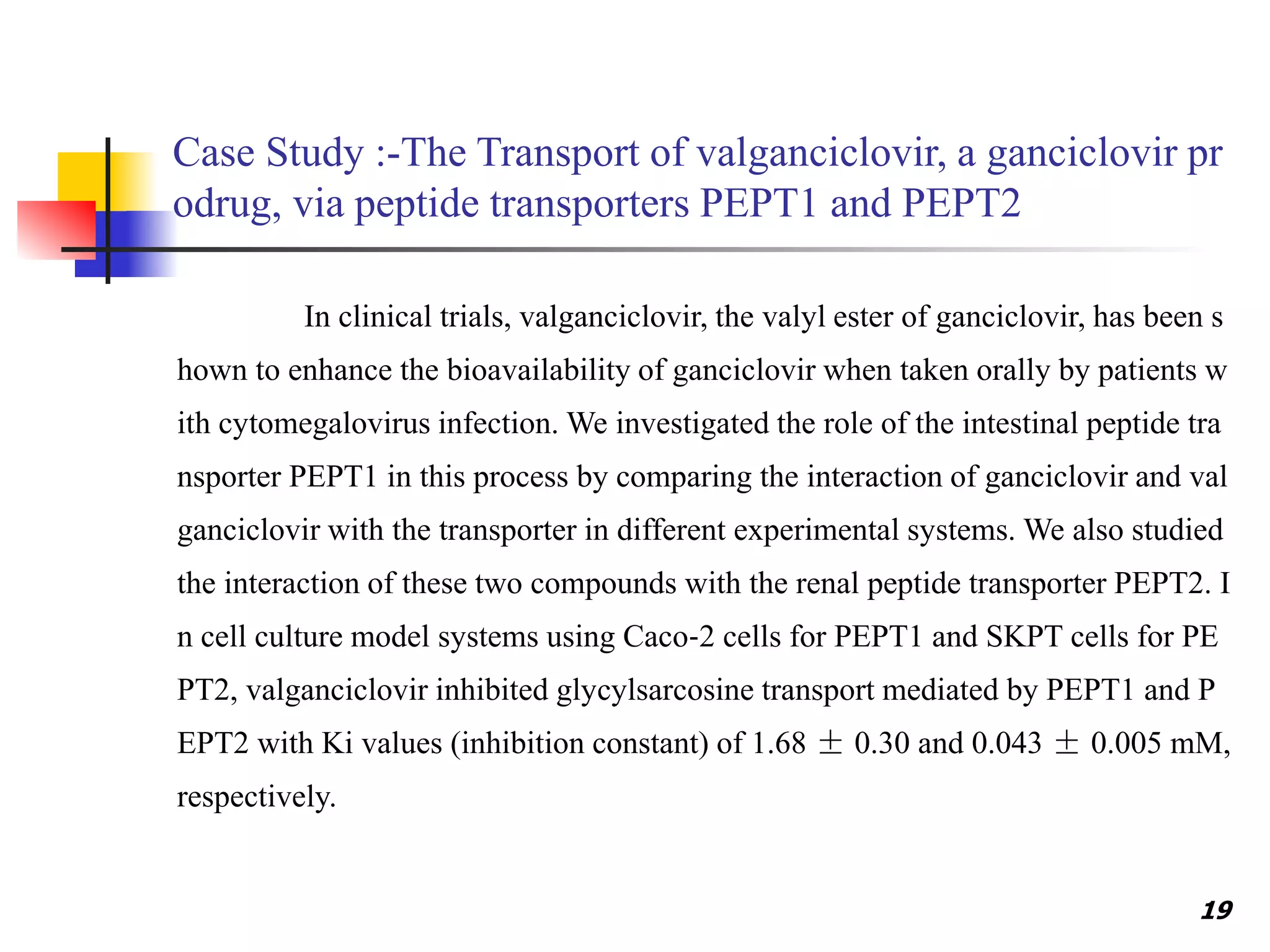 Peptide transporter | PPT