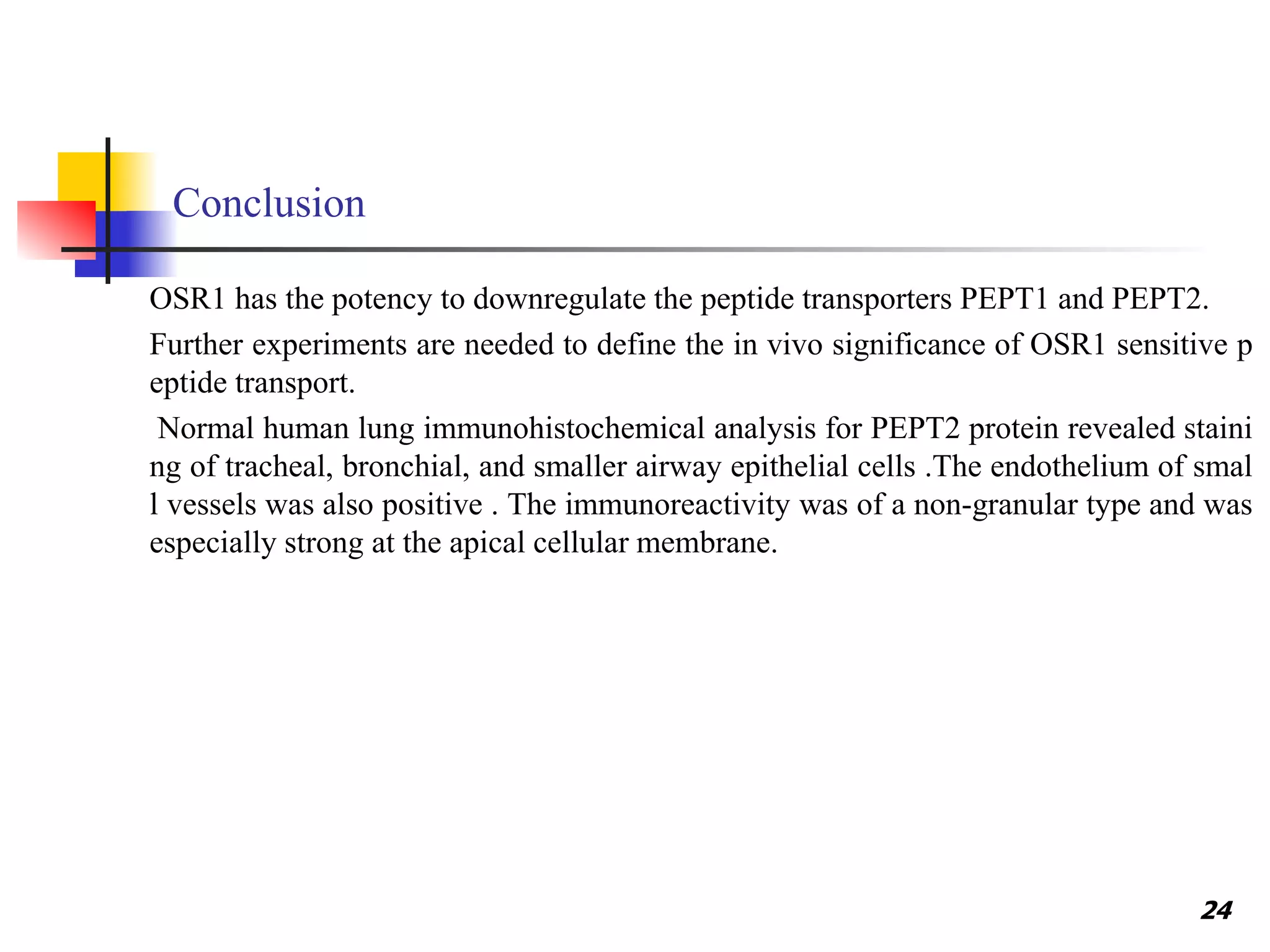 Peptide transporter | PPT
