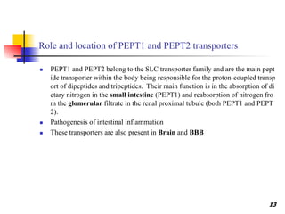 Peptide transporter | PPT