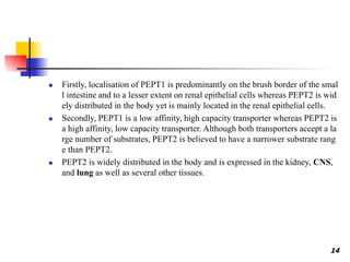 Peptide transporter | PPT