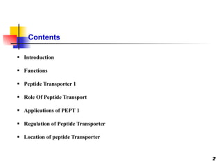 Peptide transporter | PPT