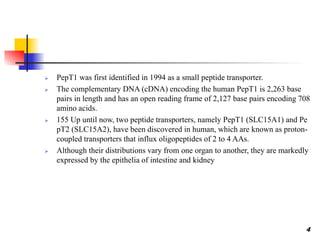 Peptide transporter | PPT