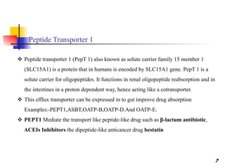 Peptide transporter | PPT