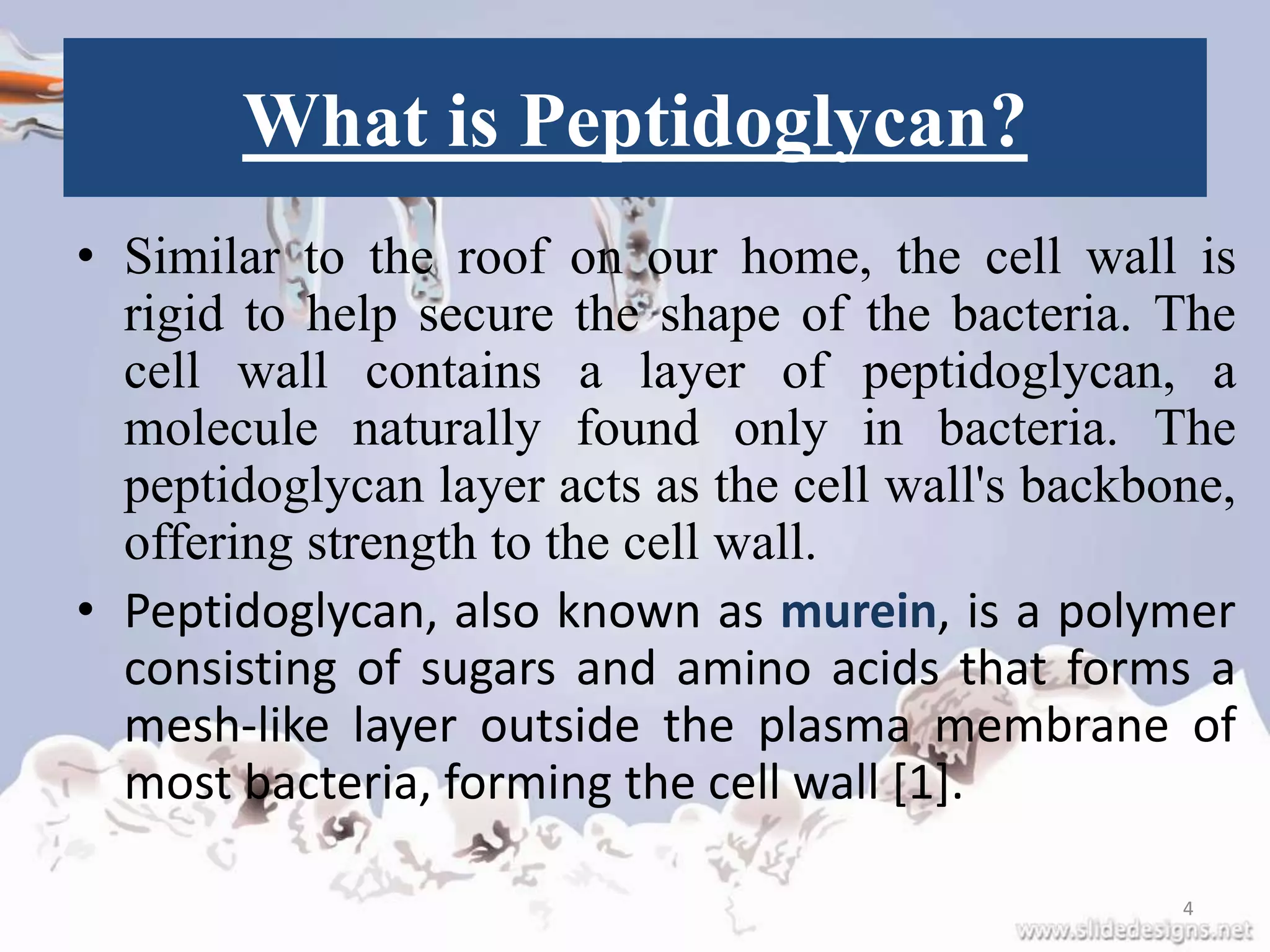 Peptidoglycan ppt | PPTX
