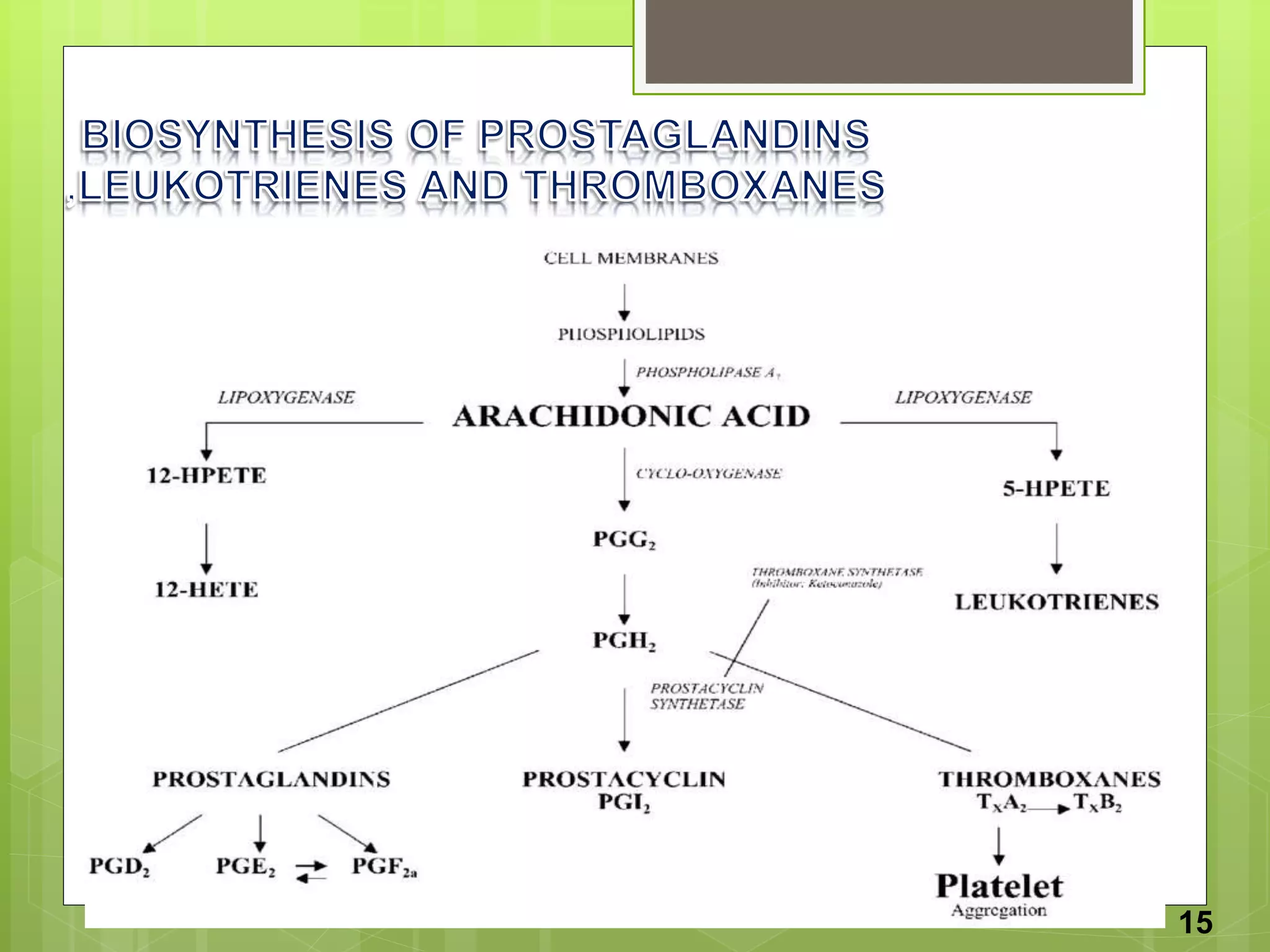 Peptidomimetics | PPTX