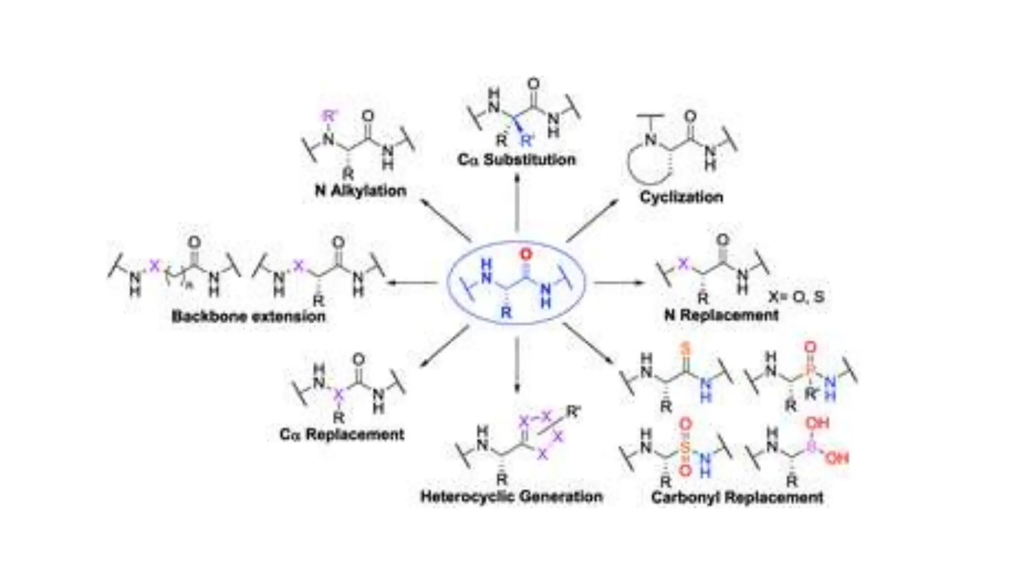 peptidomimetics.pptx