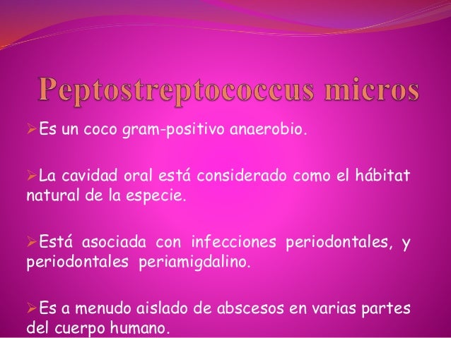 PEPTOCOCCUS Y PEPTOSTREPTOCOCCUS