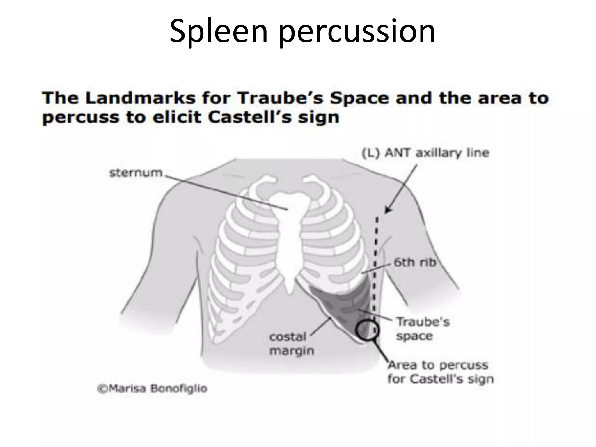 Per abdomen examination - Clinical Methods - Abdomen | PPTX