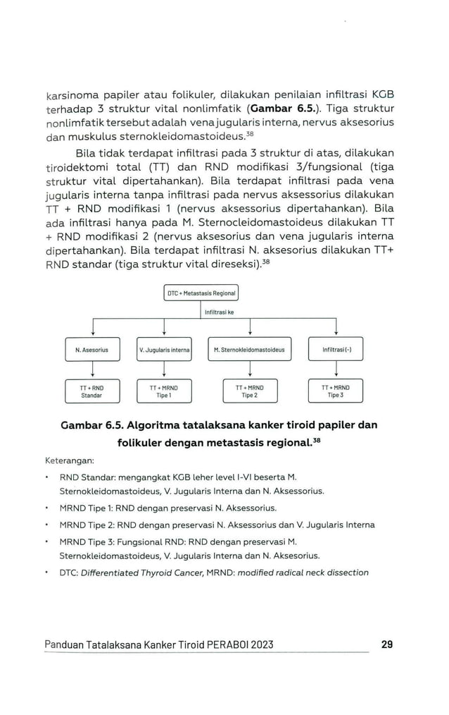 Penatalaksanaan kanker berdasarkan peraboi terbaru | PDF