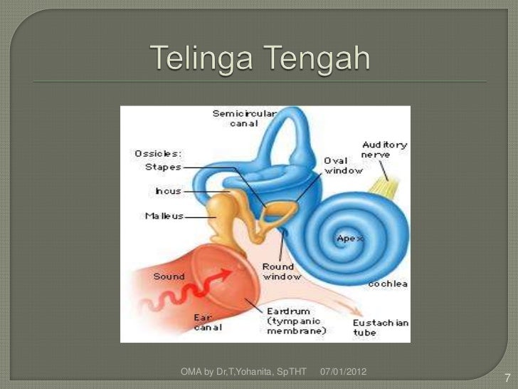 Peradangan telinga tengah