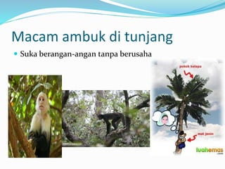 Perambahan Brunei | PPTX