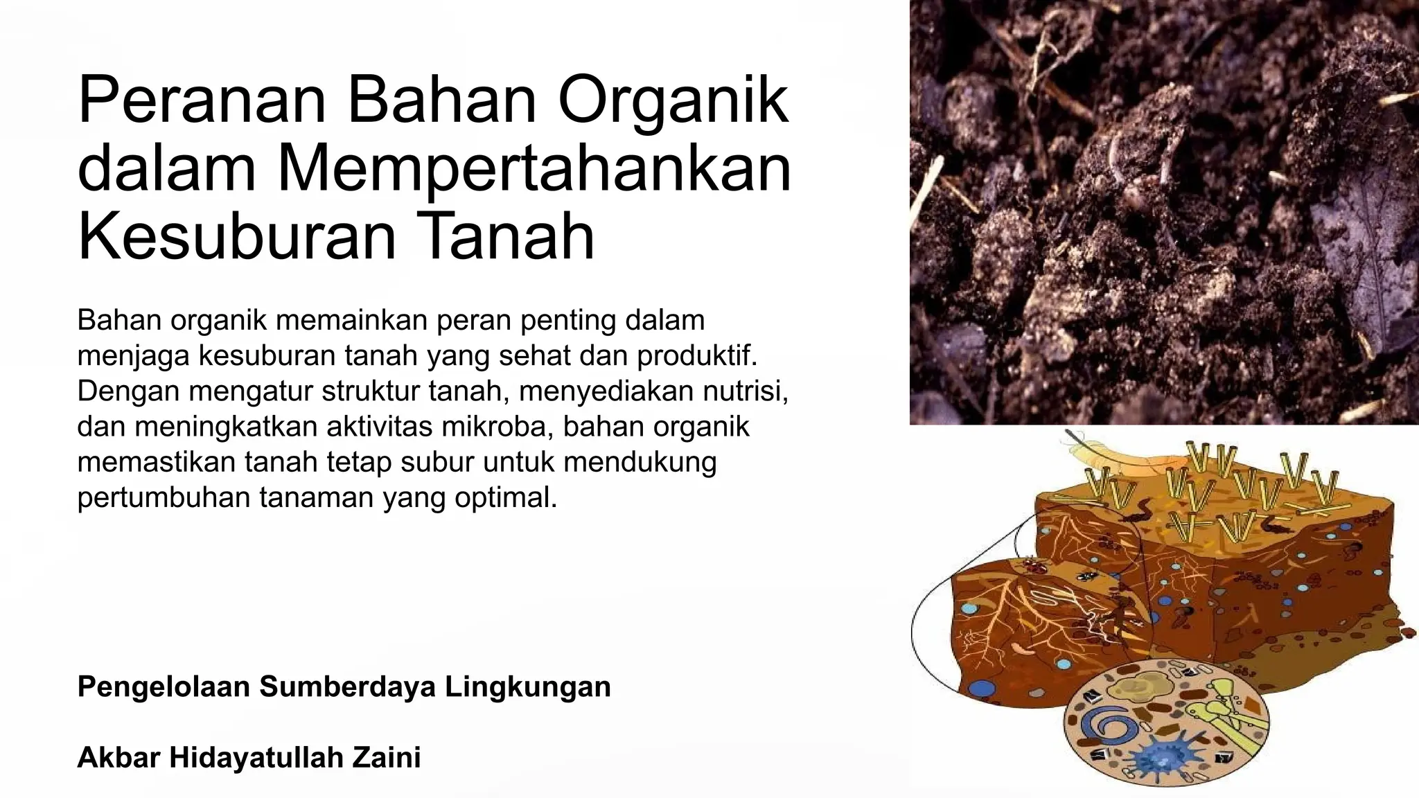 Peranan bahan organic dalam mempertahankan kesuburan tanah.pptx