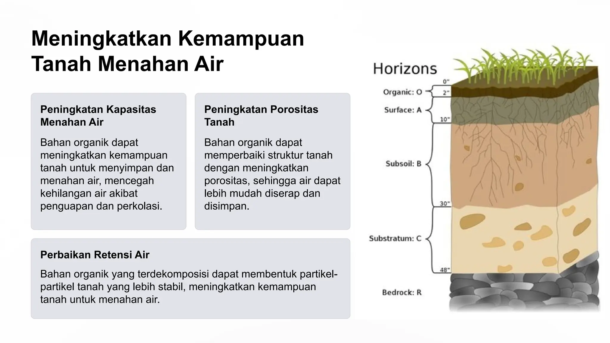 Peranan bahan organic dalam mempertahankan kesuburan tanah.pptx