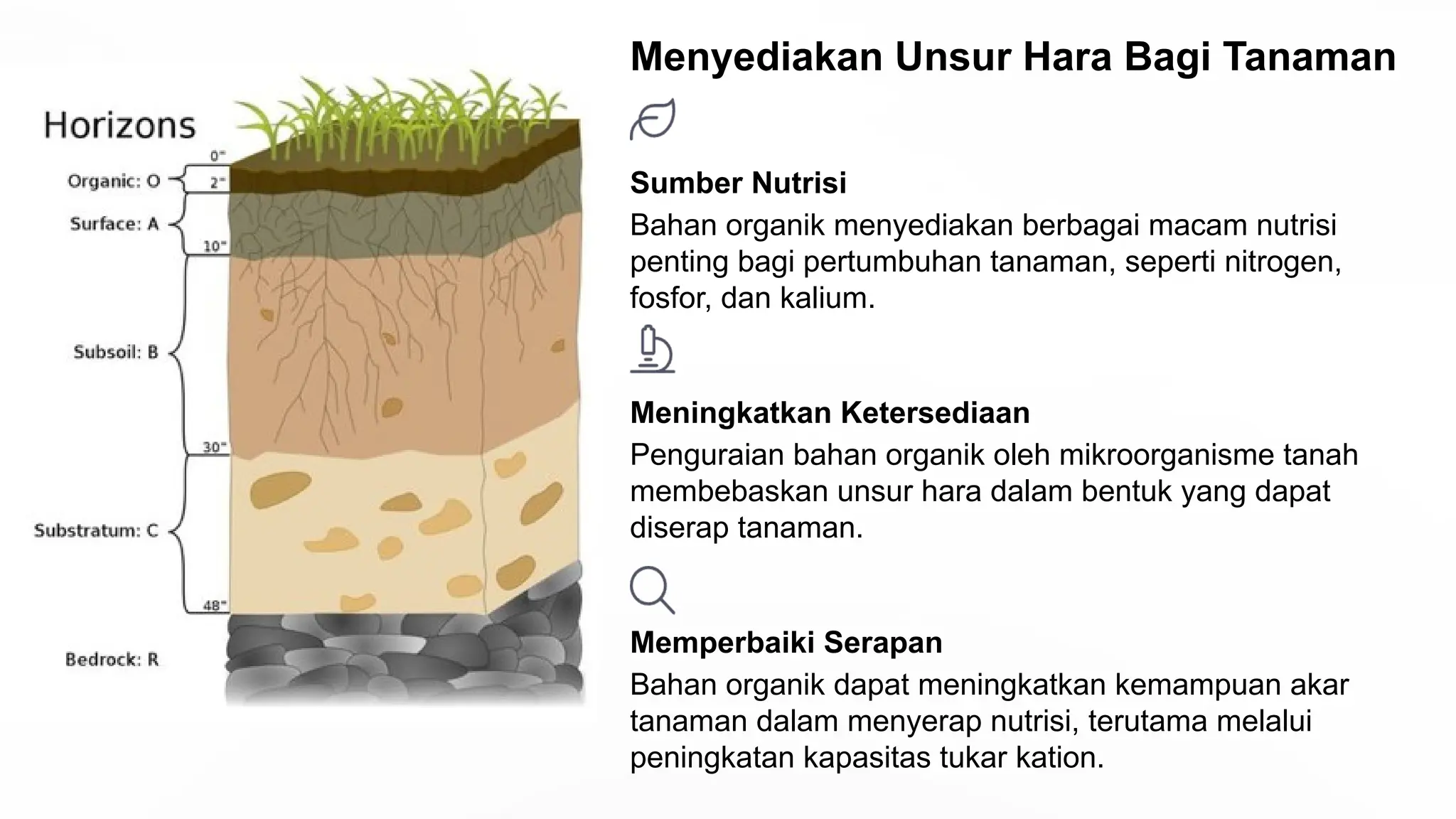 Peranan bahan organic dalam mempertahankan kesuburan tanah.pptx