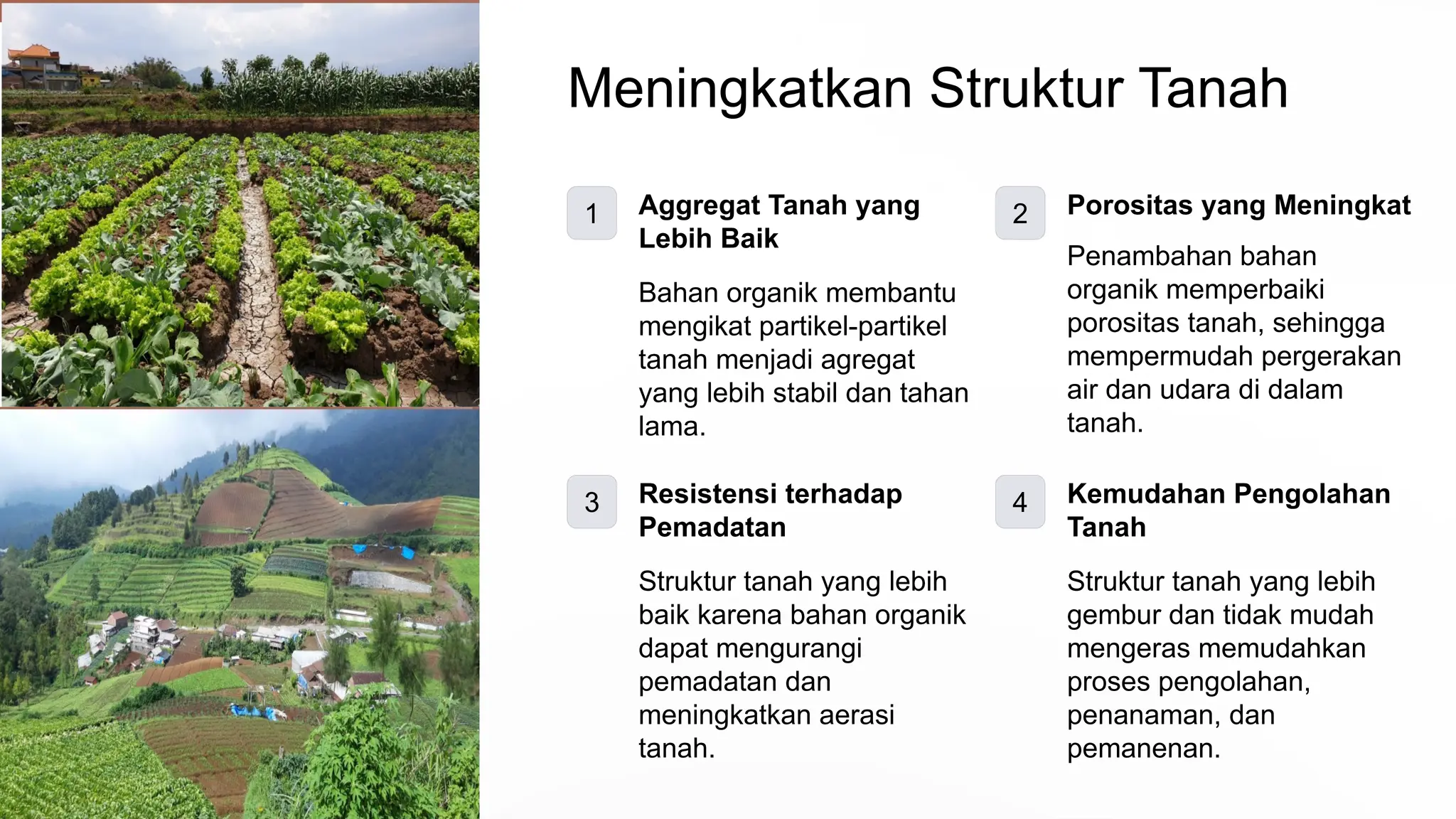 Peranan bahan organic dalam mempertahankan kesuburan tanah.pptx