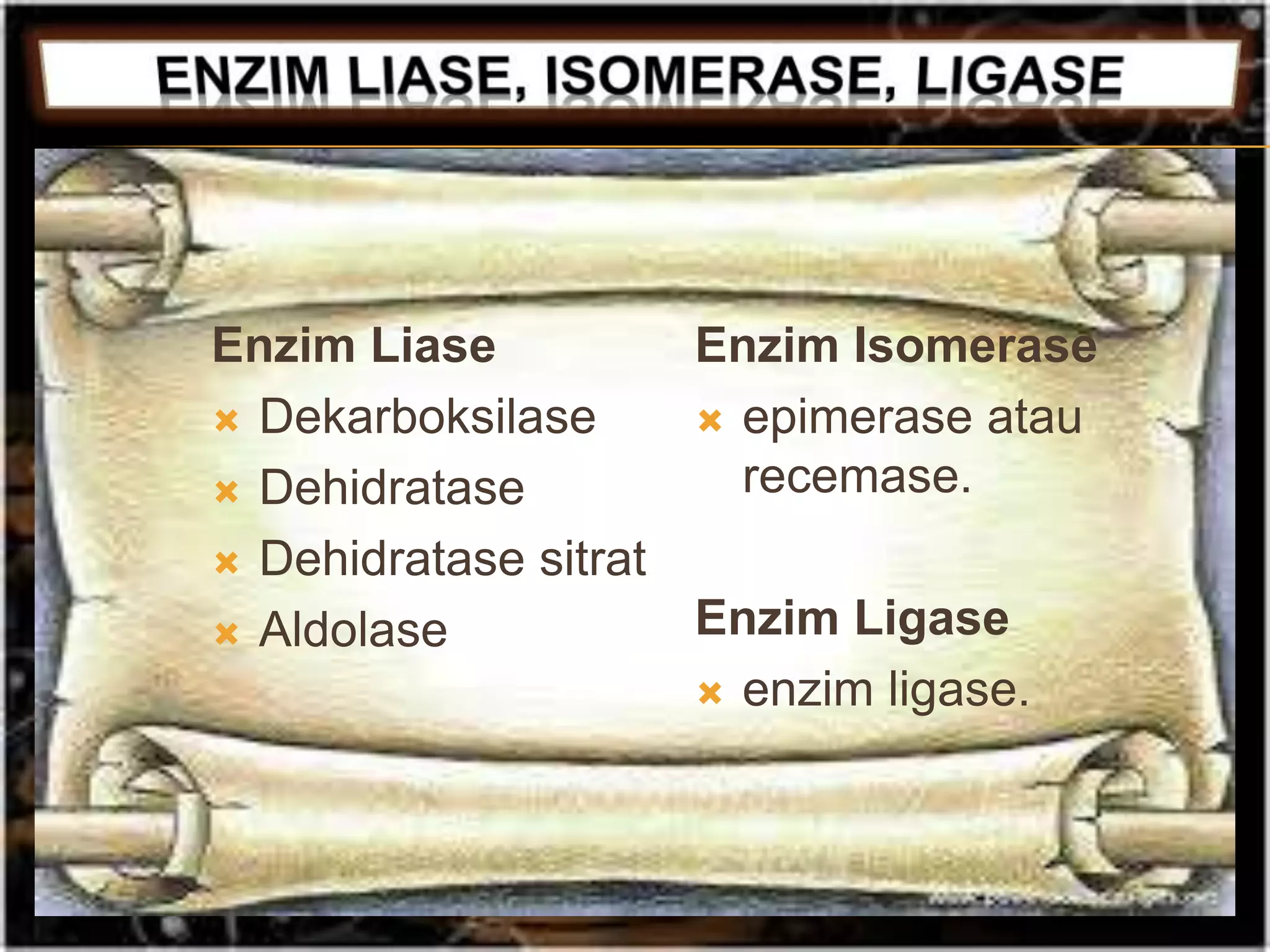 macam-macam enzim dan peranannya TERLENGKAP | PPT