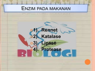 macam-macam enzim dan peranannya TERLENGKAP | PPT