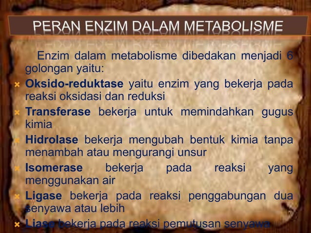 macam-macam enzim dan peranannya TERLENGKAP | PPT