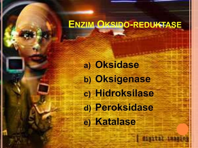 macam-macam enzim dan peranannya TERLENGKAP | PPT