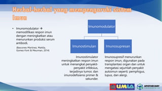 Peranan Farmasis dalam Pengembangan Obat Herbal Immunomodulator | PDF