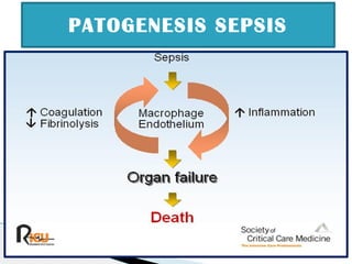 Peranan glutamin dan arginin pada pengelolaan sepsis | PPT