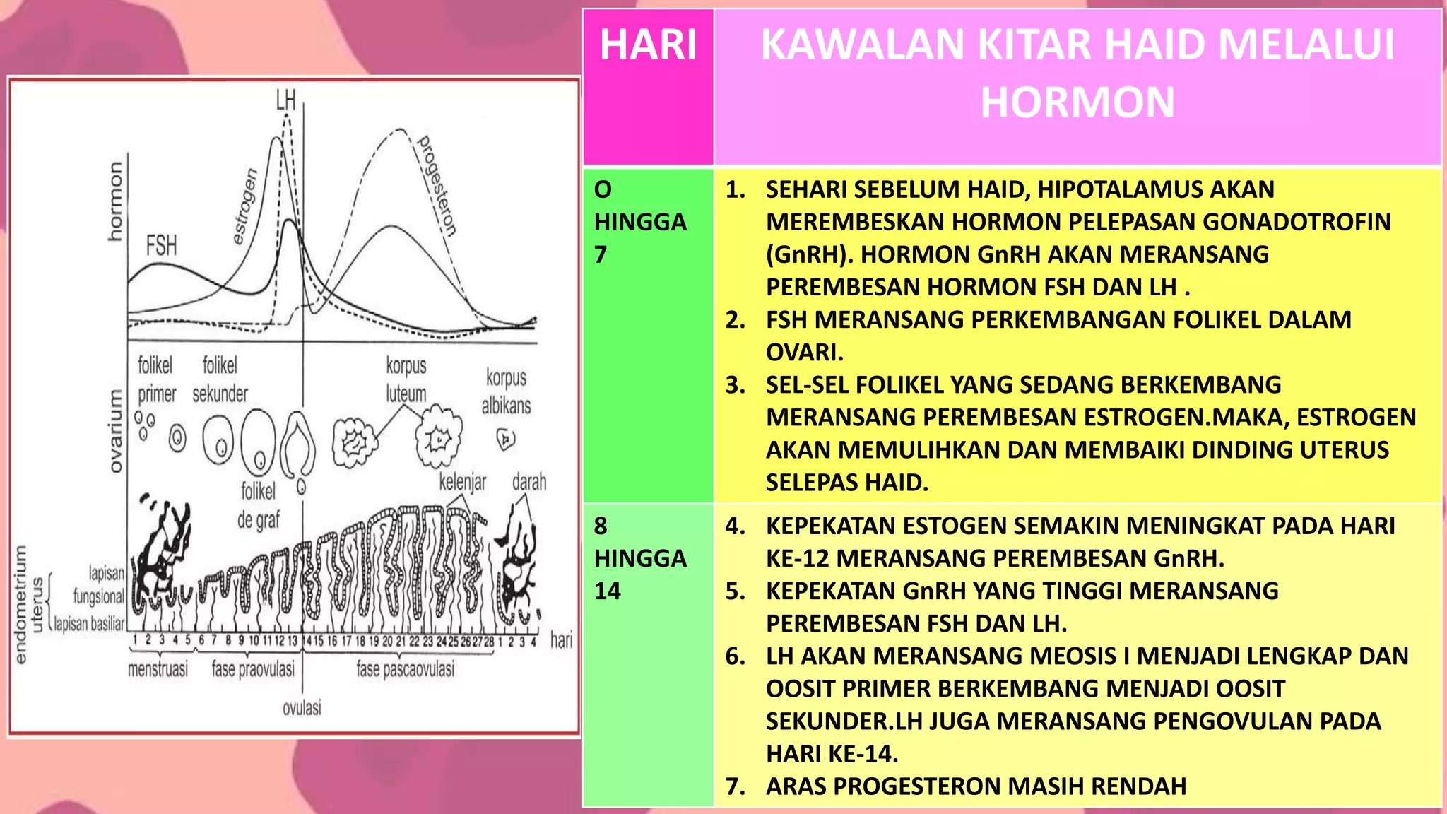 Peranan hormon dalam kitar haid | PPTX