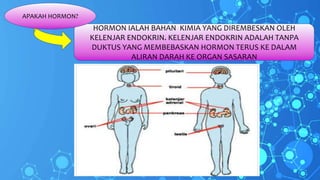 Peranan hormon dalam manusia | PPTX