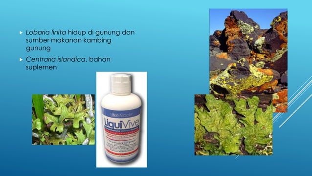 Peranan jamur | PPTX