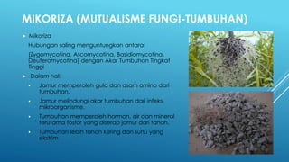 Peranan jamur | PPTX