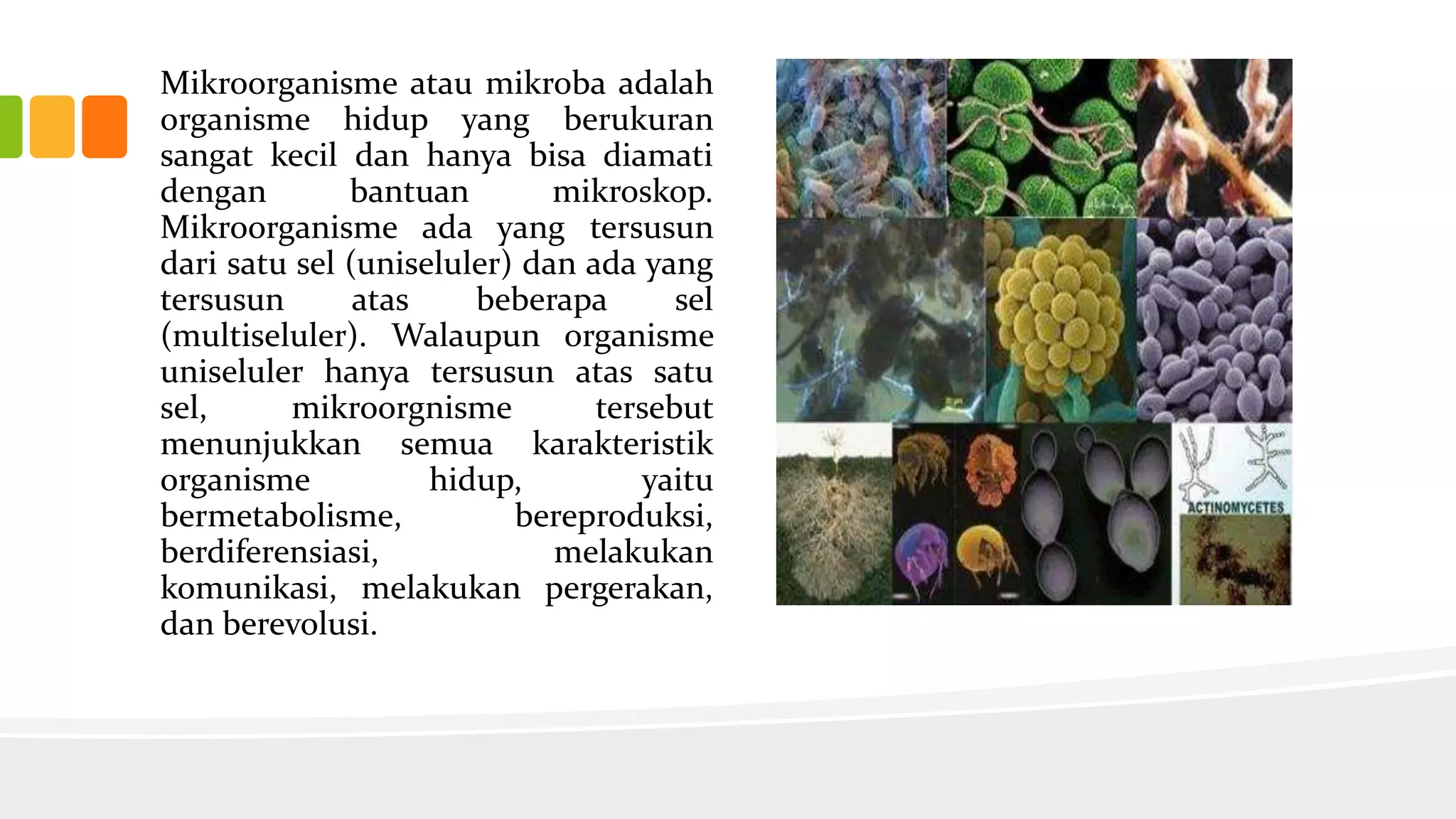 PERANAN MIKROBA TERHADAP PENANGAN LIMBAH PERTANIAN KELOMPOK 1.pptx