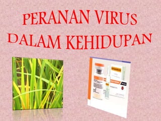 Peranan virus dalam kehidupan 2 | PPTX