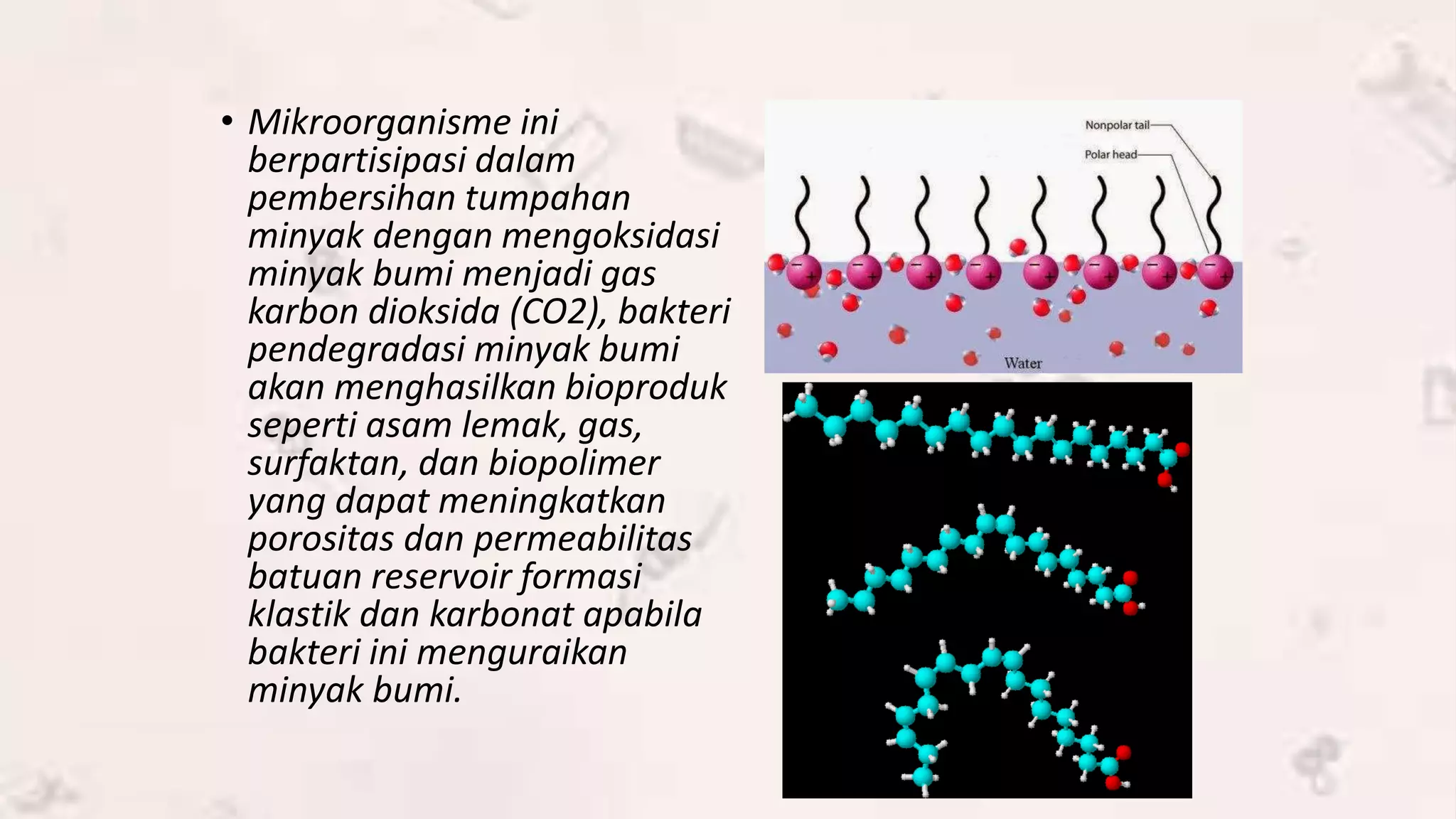 Peran bakteri dalam pengolahan limbah | PPTX