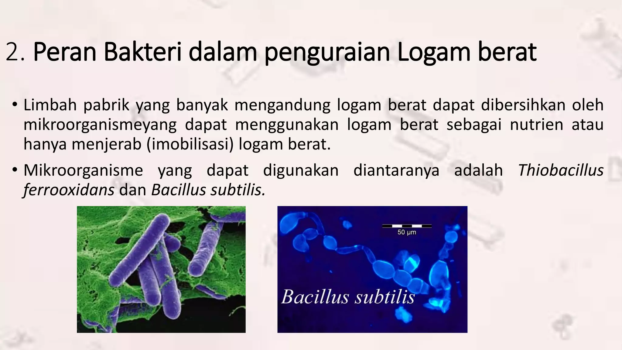 Peran bakteri dalam pengolahan limbah | PPTX