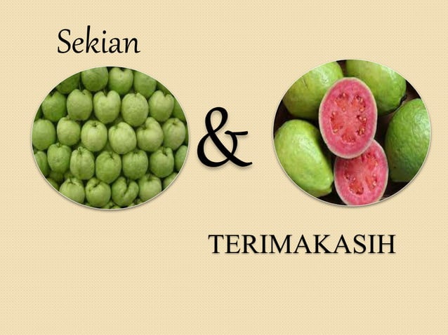 Perancangan Mesin Sortasi Jambu Biji Merah | PPT