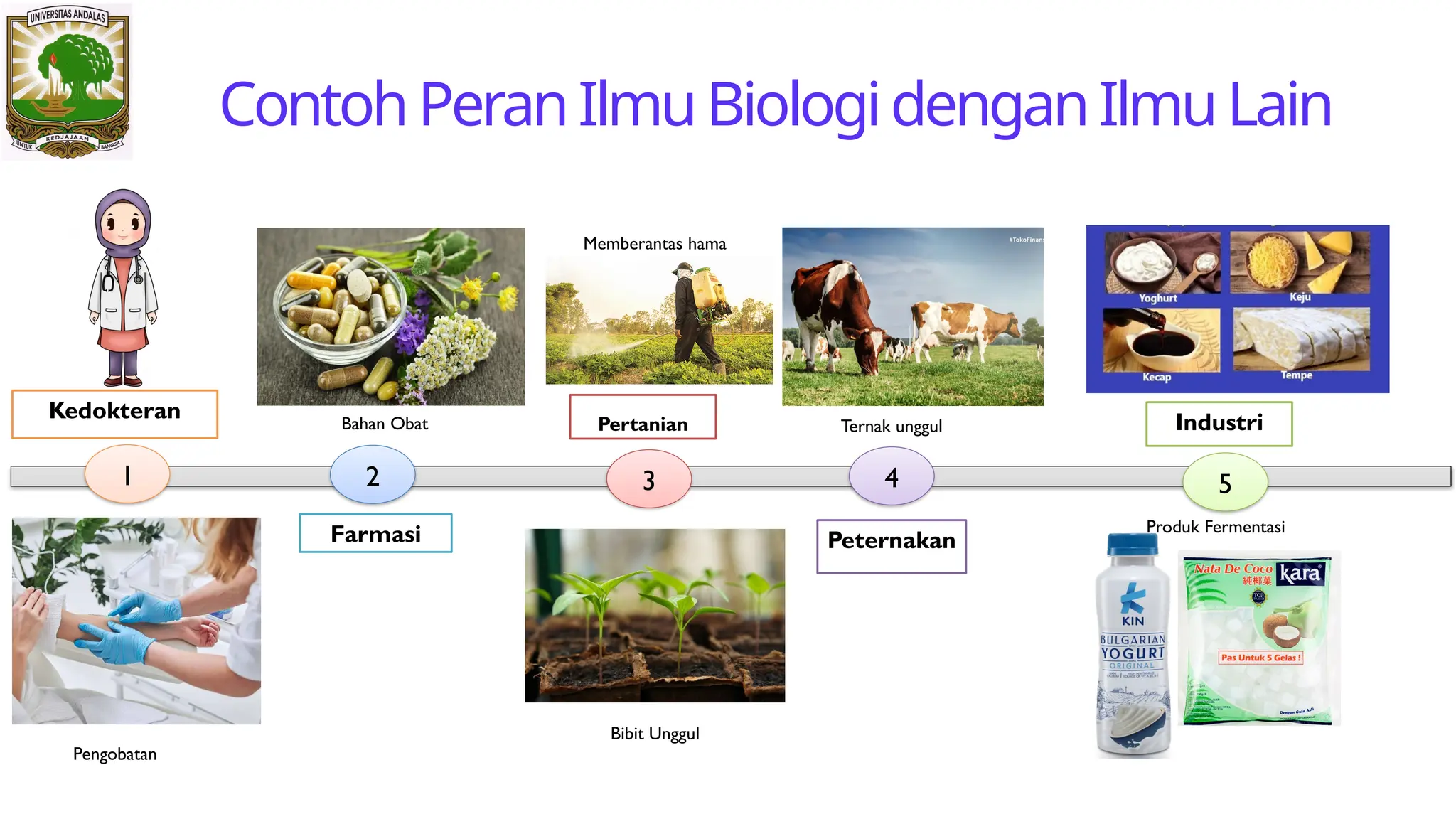 Peran dan Asal Usul Makhluk Hidup_Helvi Maudy Saswita.pptx