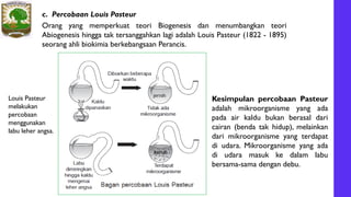 Peran dan Asal Usul Makhluk Hidup_Helvi Maudy Saswita.pptx
