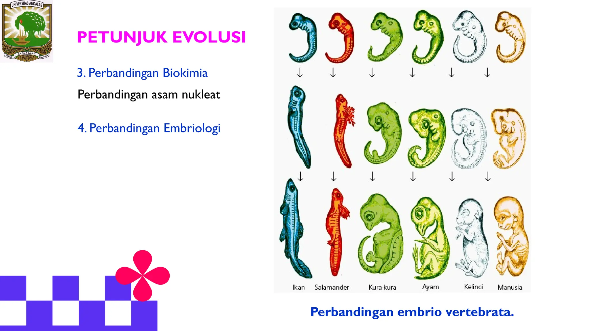 Peran dan Kedudukan Ilmu Biologi, Asal Usul Makhluk Hidup dan Genetika ...