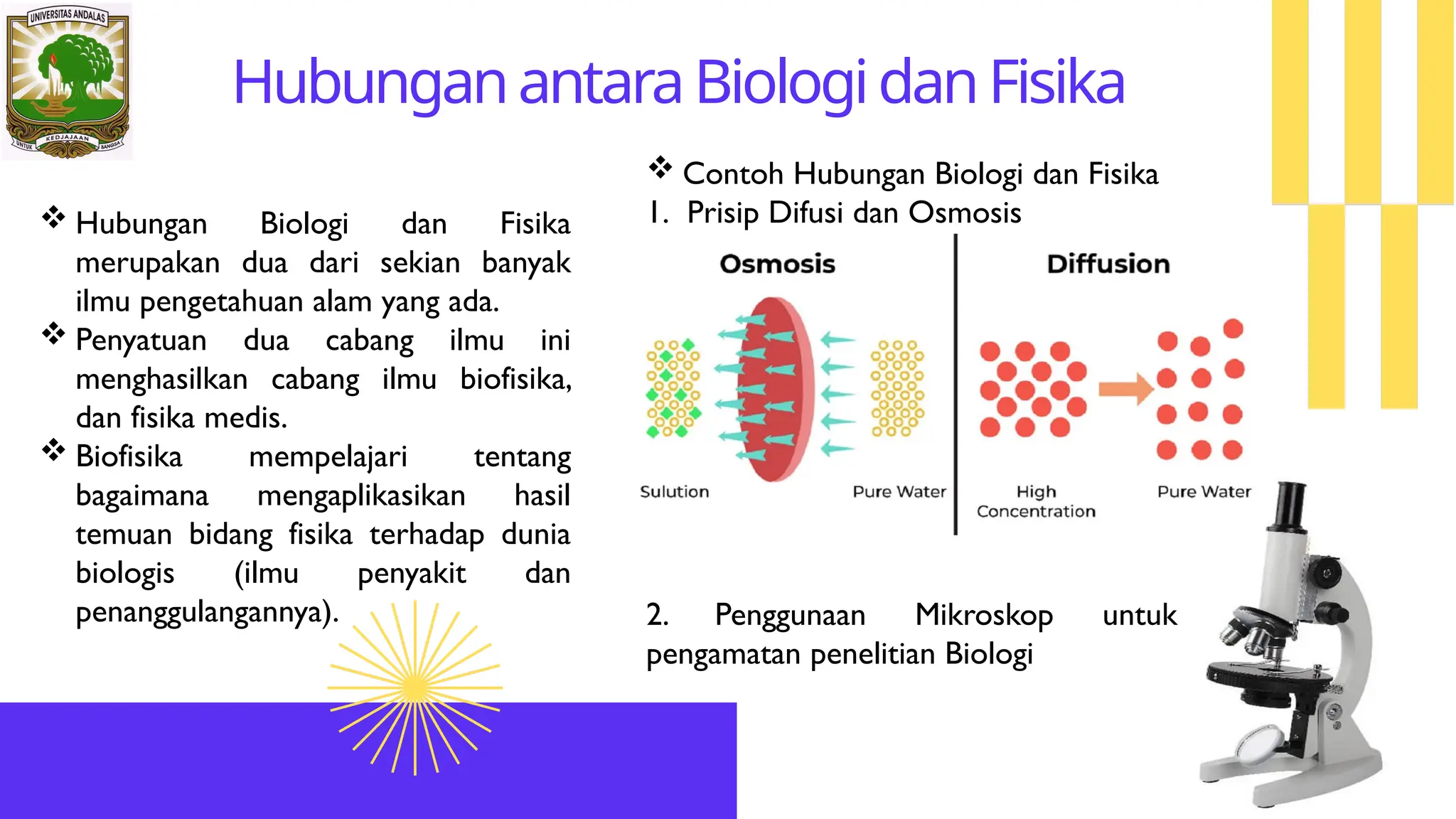 Peran dan Kedudukan Ilmu Biologi, Asal Usul Makhluk Hidup dan Genetika ...