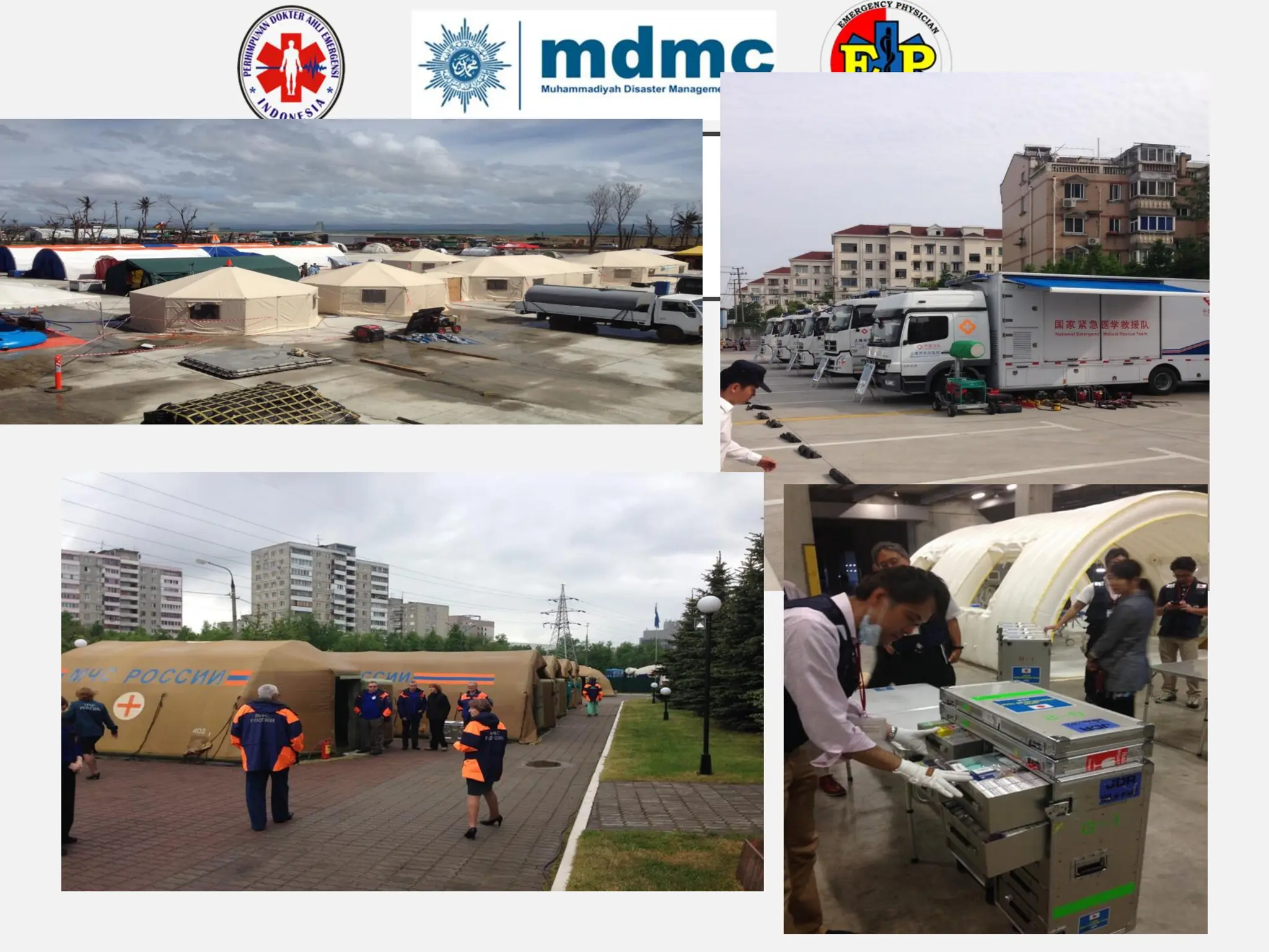 role of emergency medical team during disaster | PDF