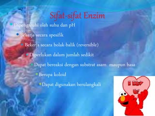 Peran enzim | PPTX