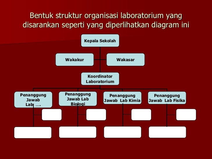 17+ Jenis Desain Struktur Organisasi Background