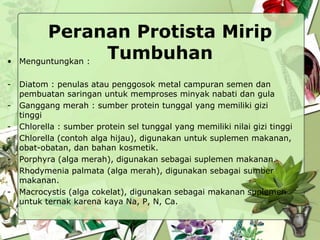 Peran protista | PPTX