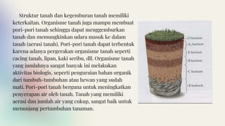 Peran Tanah dan Organisme.pptx