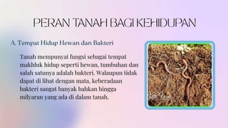 Peran Tanah dan Organisme.pptx