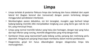 peran usg pada hepatobilier tugas reading gastro.pptx