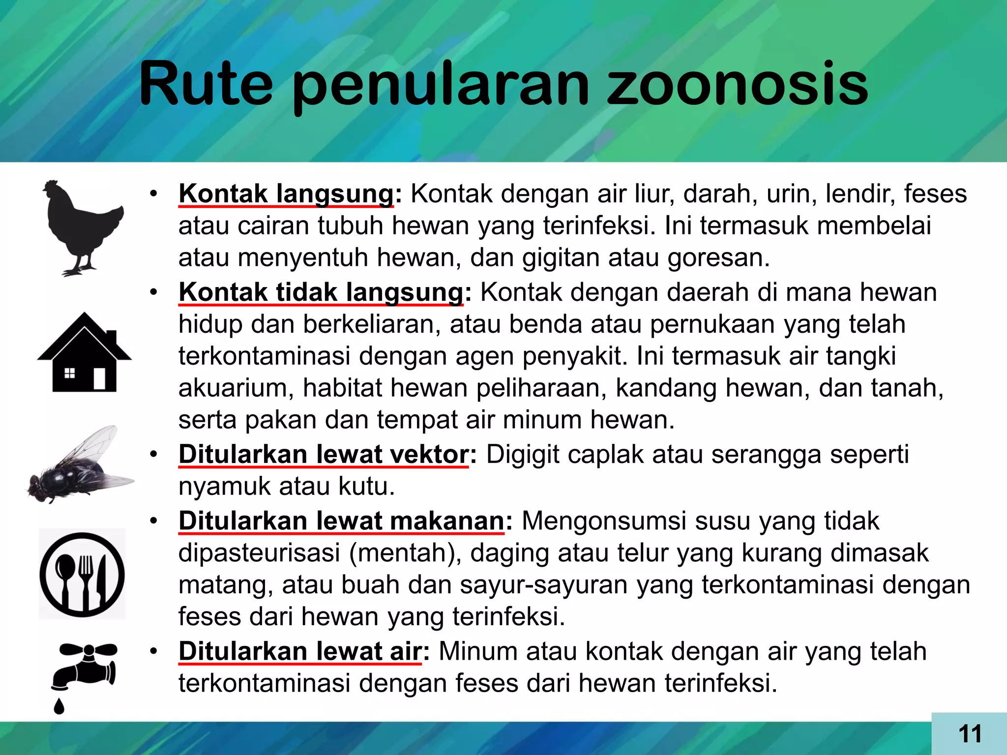 Peran Veteriner Dalam Pengendalian Zoonosis Berbasis One Health ...