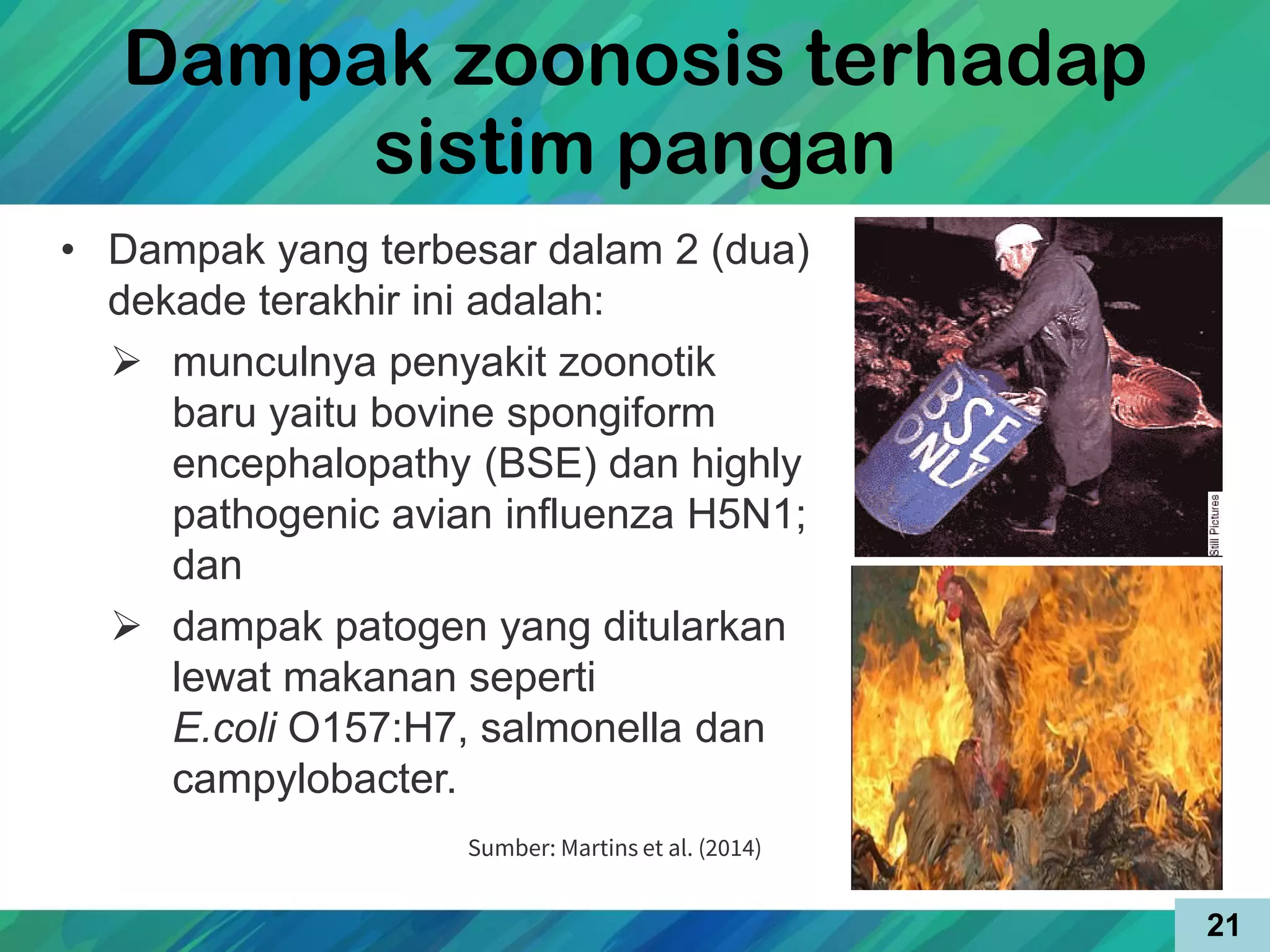 Peran Veteriner Dalam Pengendalian Zoonosis Berbasis One Health ...