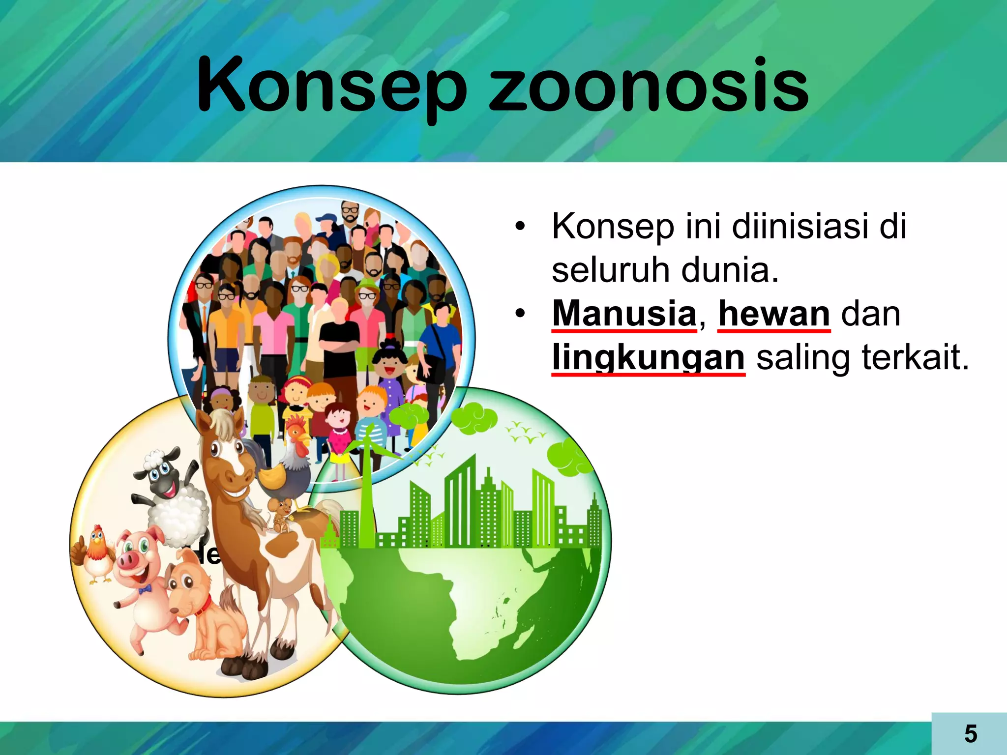 Peran Veteriner Dalam Pengendalian Zoonosis Berbasis One Health ...
