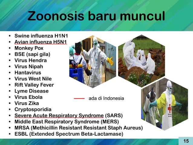 Peran Veteriner Dalam Pengendalian Zoonosis Berbasis One Health ...