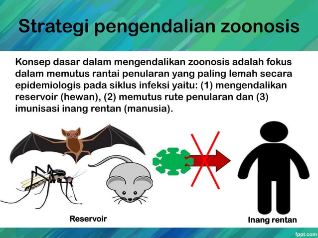 Peran Veteriner Dalam Pengendalian Zoonosis Berbasis One Health ...